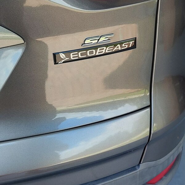Gel Coated (domed) FORD ECOBEAST Emblem Overlay: Fits Ford 2010-14 - Etsy
