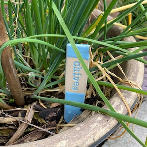 Herb Labels, Plant Labels, Set of 3 - Etsy