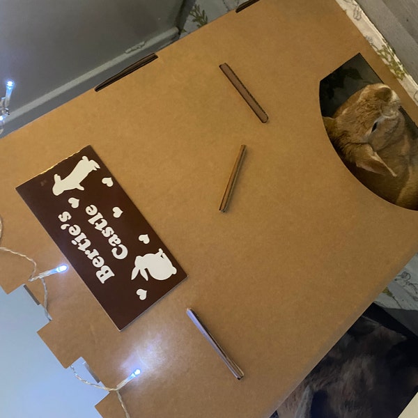PR255 BP Lift Not Working Sign Broken Please Use Stairs Alternative ...