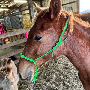 THIN Rope Halters, Mini Halter, Trail Halter - Etsy