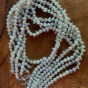 16.9x14.0mm Natural Deep Sea Angel Skin Color Coral Oval | Etsy