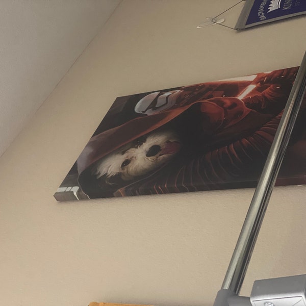 Custom Kylo Ren Pet Portrait . Star Wars Pet Portrait . Custom Pet ...