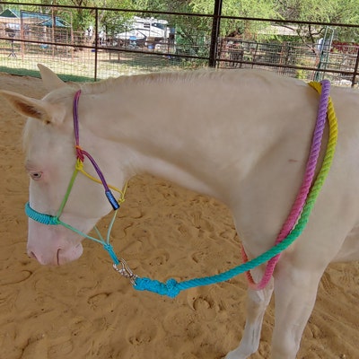 ASL Alphabet Drawings American Sign Language, 54 Images All 26 Letters ...