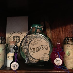 Formula 86 Delayed Action Mouse Maker Witches Potion Bottle | Etsy