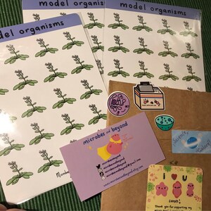 Cute Science Equipment and Disposables Decorative Magnet set | Etsy