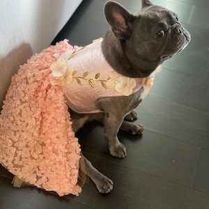 Pink Dog Dress Rose Gold Dog Dress Wedding Dog Dress Dog - Etsy