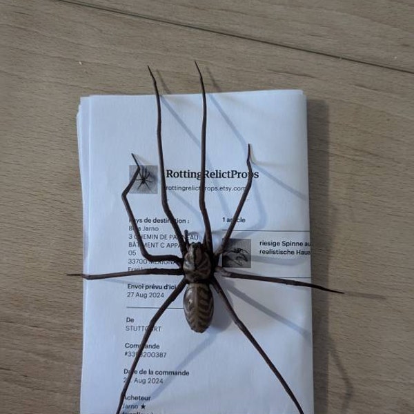 Giant Plastic Spider as Decoration | Double Sized Realistic Giant House ...