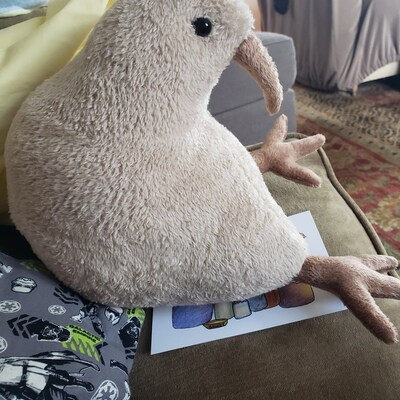 Kiwi Bird Soft Toy Kiwi Plush Kiwi Bird Stuffed Toy - Etsy