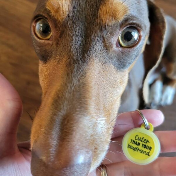 Custom Emotional Support Animal ID Tag, Personalized ESA Badge for Dogs ...