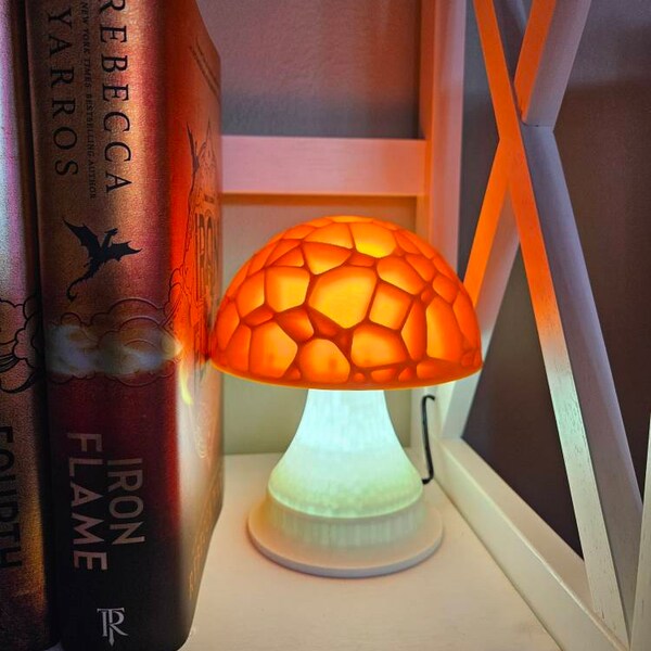 Lithophane Light Kit-everything You Need to Beautifully Display and ...