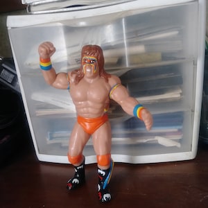 The Road Warriors Animal & Hawk LOD WWF Ljn Inspired XOX | Etsy