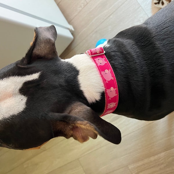 Dog Collar, Pigs Dog Collar, 1 Inch Wide, Adjustable; Plastic or Metal ...