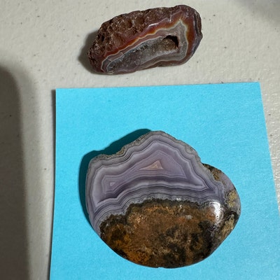 Beautiful Dinosaur Gembone Cabochon Fossil Jewelry Supply Genuine ...