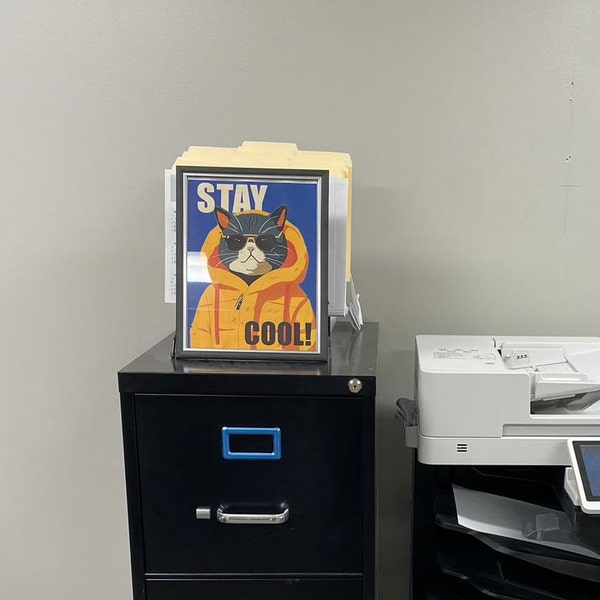 Silly Cat Magnet Funny Cat Meme Magnet Fluffy Cat Magnet Gift for Cat ...