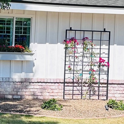 Classic Metal Garden Trellis Single Trellis Panel Aluminum - Etsy