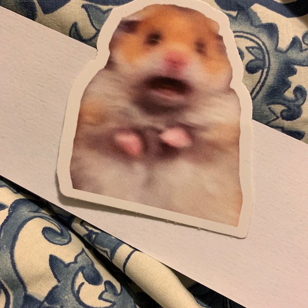 Surprised Shock Hamster Meme Funny Car Bumper Sticker Interior or ...