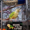 Beware of the Tiny Raptor Metal Sign, Green Quaker Sign for Cage ...