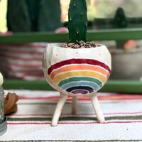 The Rainbow Pot Collection Ceramic Handmade Succulent Pot - Etsy Australia