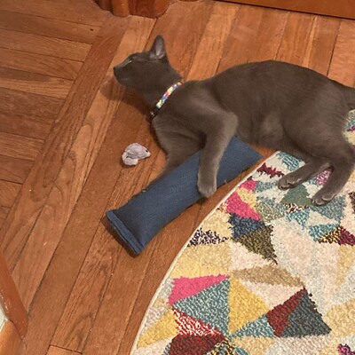 Upcycled Denim Catnip Toys Catnip Kickers Cat Toys Cat Gift Organic Catnip Cat Toy Cat Kicker ...