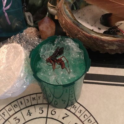 Handmade Flip Flop Polymer Clay Stitch Markers, Beach Slipper Design ...