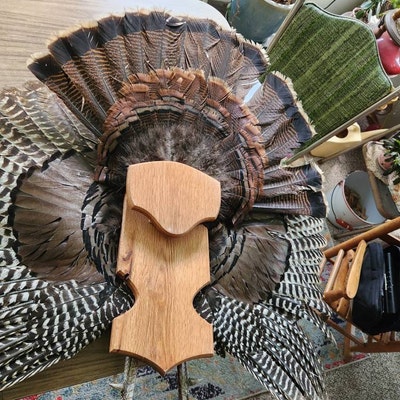 Turkey Tail Plaque Arrowhead Engraved - Etsy