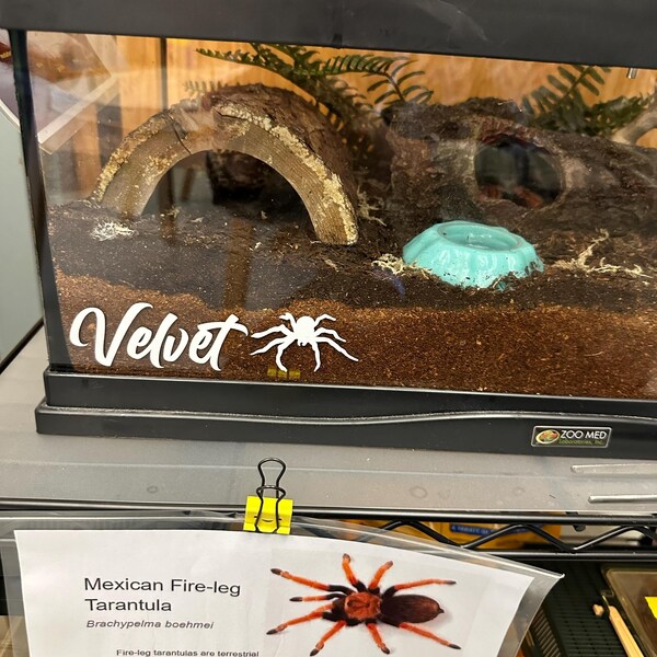 Rat Sweater for Rat Crochet Sweater for Small Pet Sweater for Fancy Rat ...