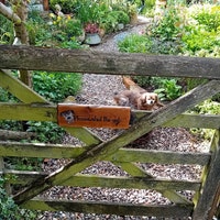 Nurse Sleeping Do Not Disturb Sign, Custom Humerous Medical Signs ...