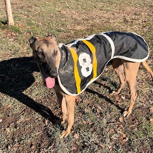 Greyhound Coats, Greyhound Track Coats. Nylon Dog Coats, Fleece Lined ...