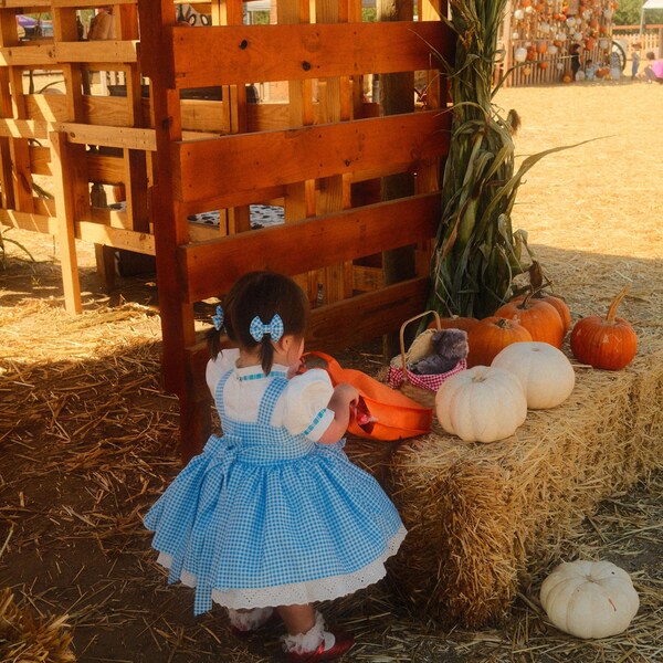 Dorothy Dress. Dorothy Costume. Dorothy Baby Girl Dress, Dorothy Theme ...