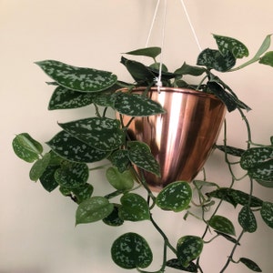 Handmade solid copper round bottom plant pot large | Etsy