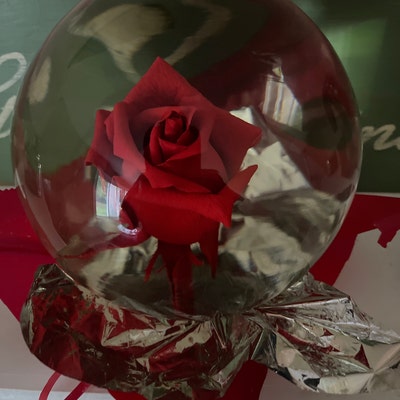 Forever Rose in Water Globe Water Rose Globe - Etsy