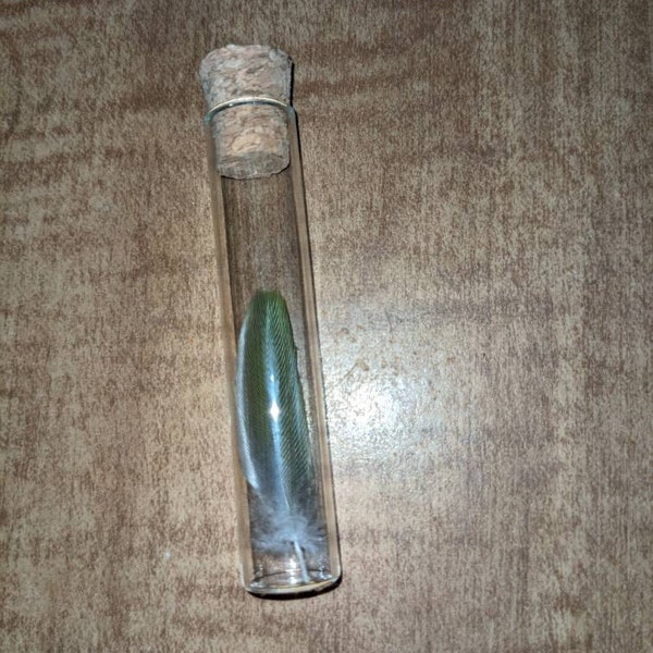 Real Moose Pellet in Glass Vial, Moose Poop, Animal Dung, Weird Gift ...