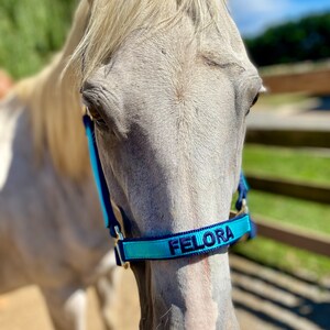 Personalized MINI Horse Halter Halter Monogrammed Horse - Etsy