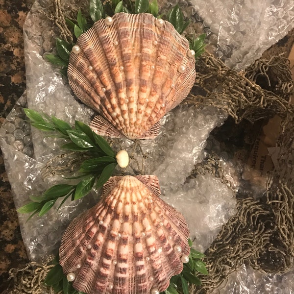 Shell Crown - Etsy