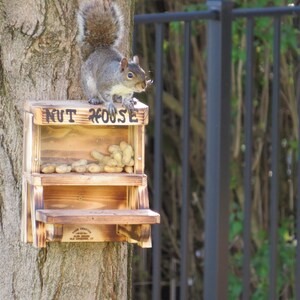The Original Squirrel Nut House Feeder - Etsy