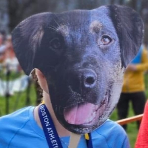 Custom Face Fans With Wooden Handle, Wedding Heads, Graduation Head ...