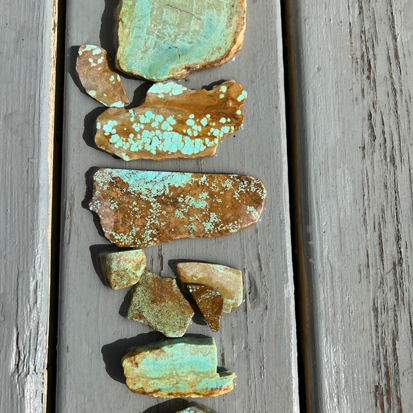 Gorgeous Old Stock Sedona Red Dirt Southwest Turquoise Saguaro Cactus ...