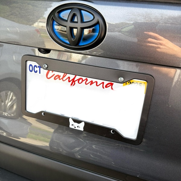 Wildflowers Too License Plate Cover- Car Accessory- Flower License ...