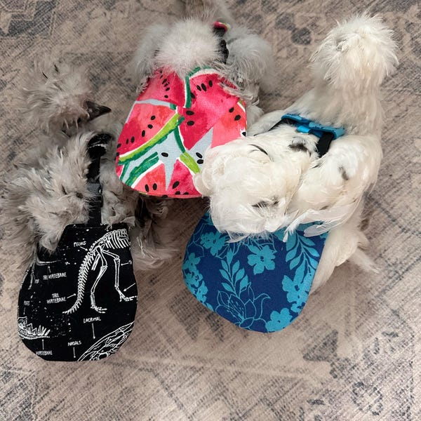 Leashes for Chicken / Duck Diapers - Etsy