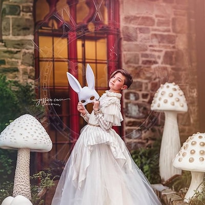 Digital Backdrop. Classic Theater Stage, Perfect for Ballet. Digital ...