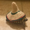 Mariachi Sombrero Turtle/tortoise Costume - Etsy