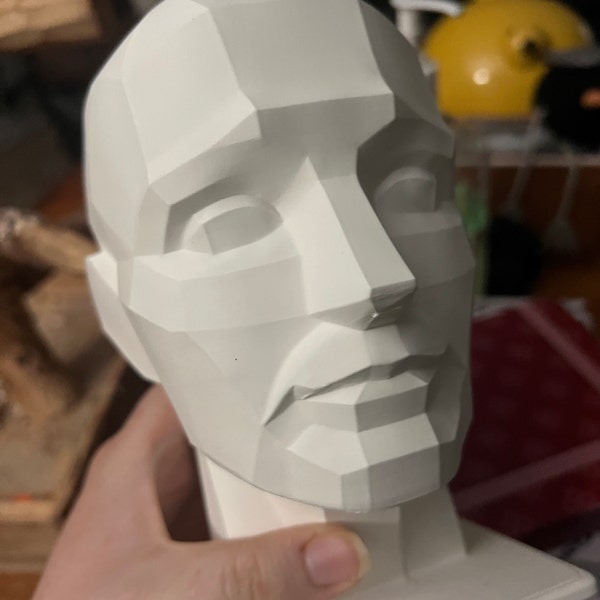 7" 17.78 Cm Planar Head, Planar Bust, Learn the Planes of the Head ...