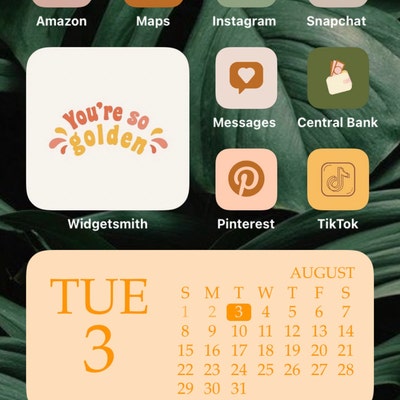 Boho Aesthetic iPhone App Icons Boho Ios 14 App Icon Pack - Etsy