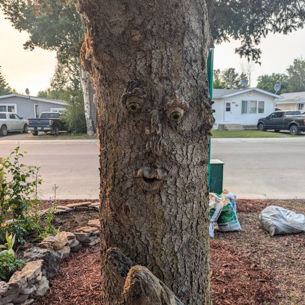 Forrest Stump - Concrete Tree Face Whimsical Gardeners Gift Forest Face ...