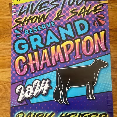 Customized Flyer Design Stock Show Livestock Sign Jackpot Fair Steer ...