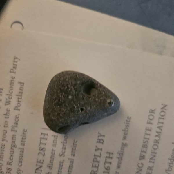 A Huge Heavy Hag Stone With Fossilized Communal Coral From Ireland ...