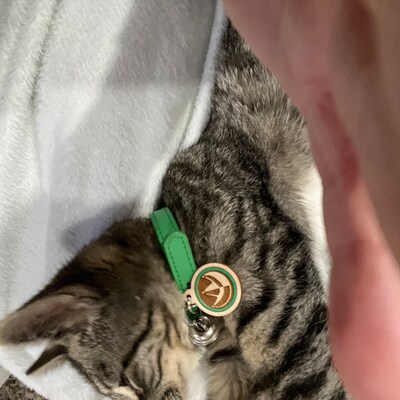 Binx is My Boo SVG - Etsy