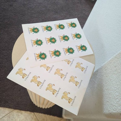 Toy Story Gender Reveal Stickers Team Woody or Team Jessie - Etsy