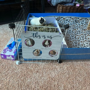 Guinea Pig Name Tag, Guinea Pig Accessories, Pet Tag, Guinea Pig ...