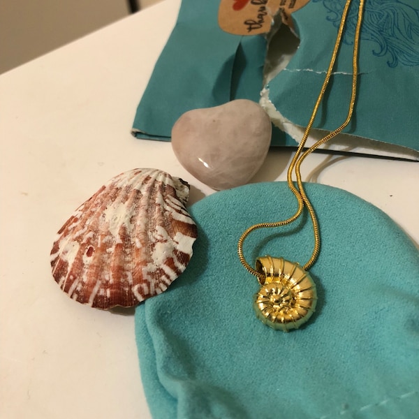 Nassau Mermaid - Hawaiian Seashells, Seashell Choker Necklace, Surfer ...